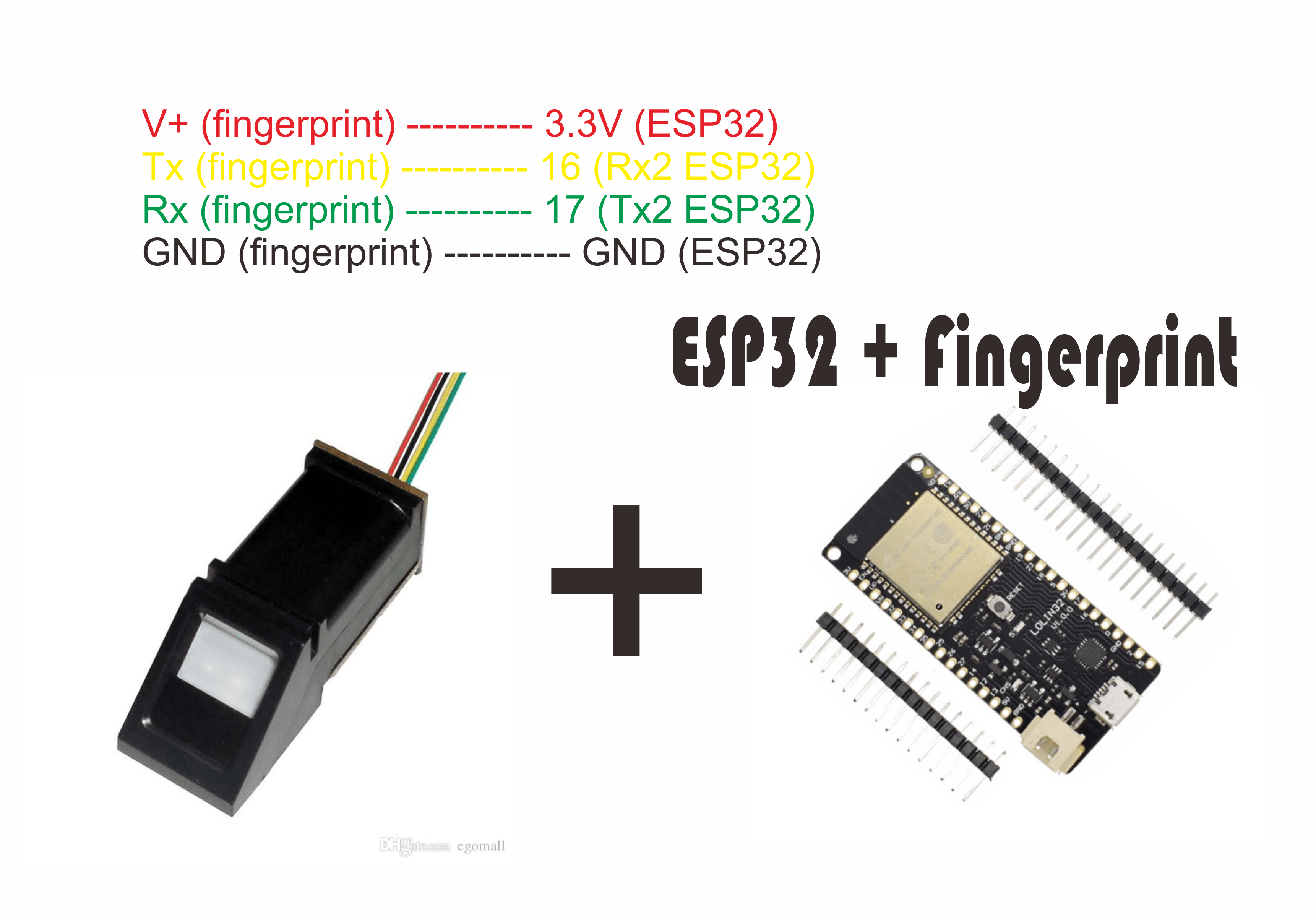 Belajar ESP32, Tutorial Mudah Mengakses Fingerprint